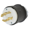 HBL2721ST Wiring Device-Kellems LKG Plug, 30A 3P 250V, L15-30P, ST